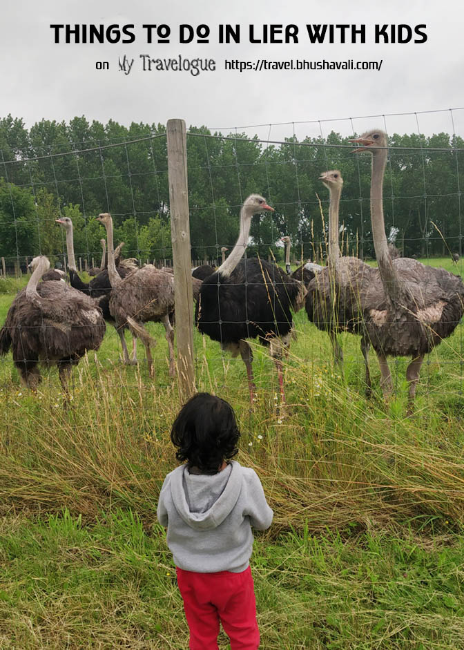 Top 5 things to do in Lier (Flanders - Belgium) | My Travelogue ...