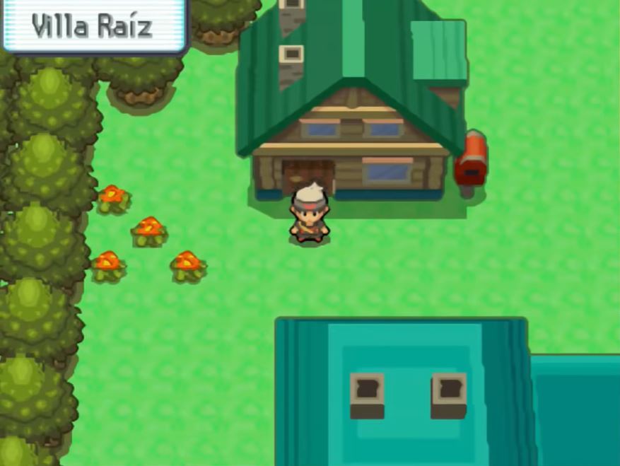 Pokémon Rubí Magma (NDS)