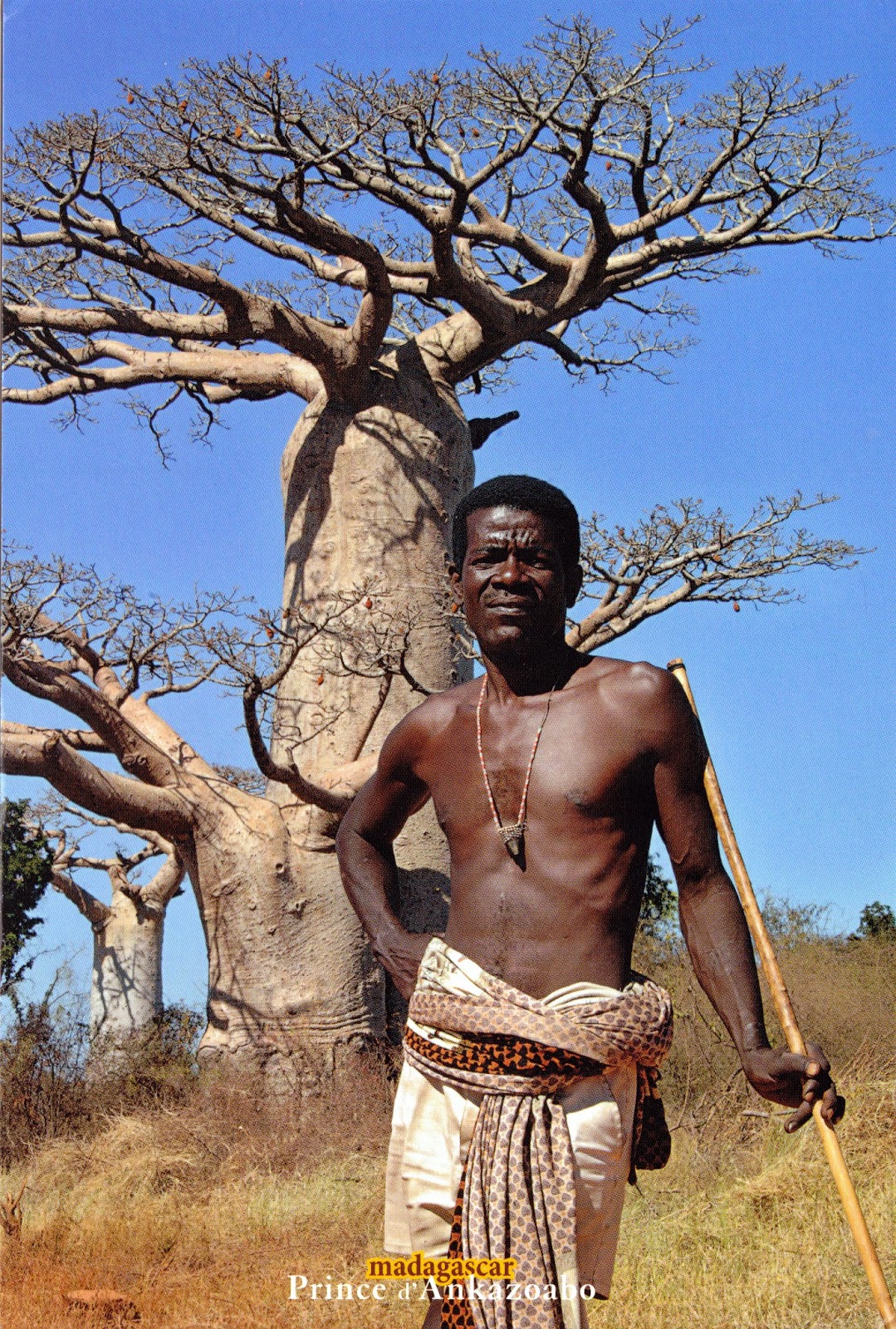 Wax On Daniel-san — Postcards: Madagascar