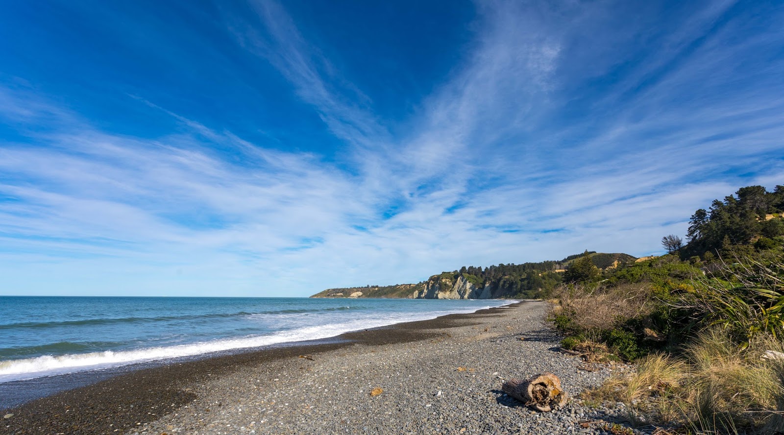 A Kiwi at the camera: Gore Bay
