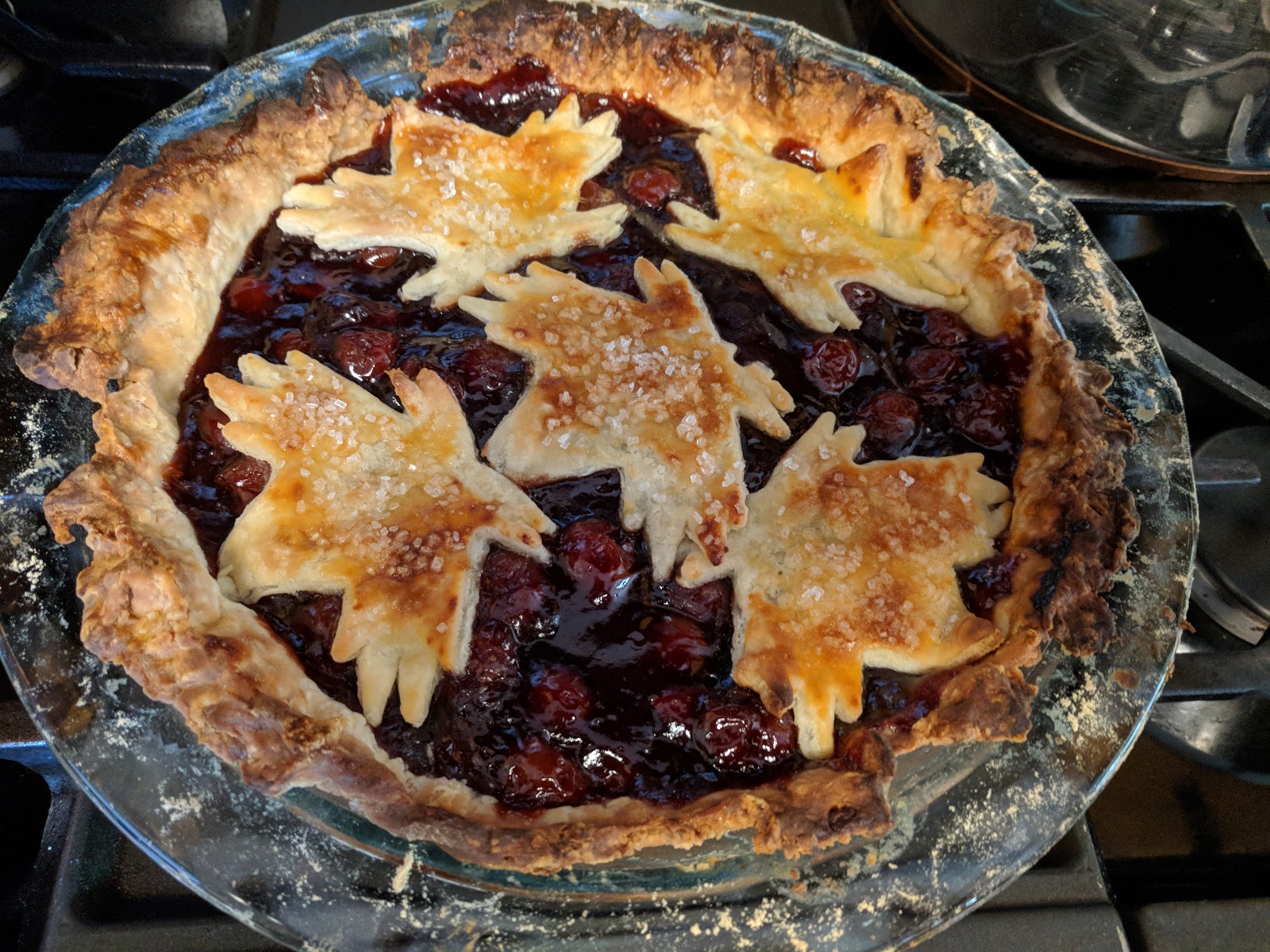 WildDakotaWoman TM: Can She Bake a Cherry Pie?