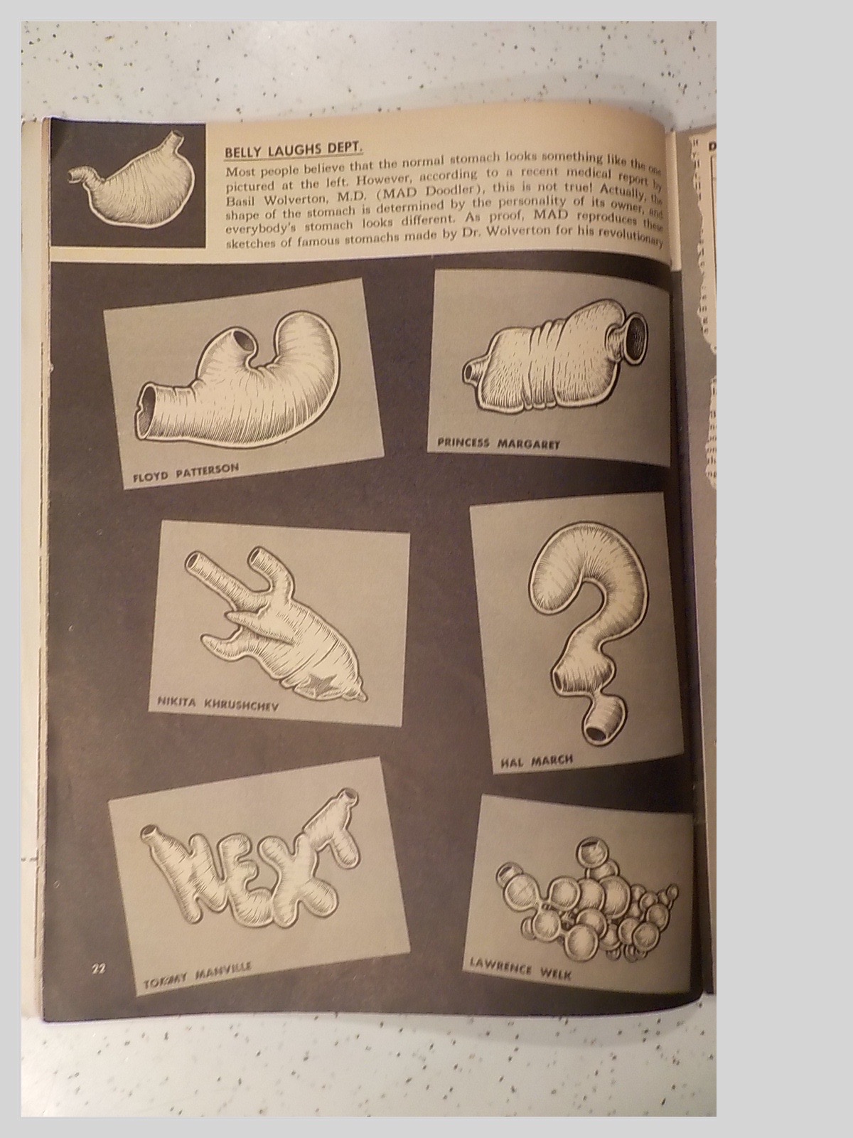 The Hayfamzone Blog . . . . . . . . . . by Brian Hayes: The Bellies of ...