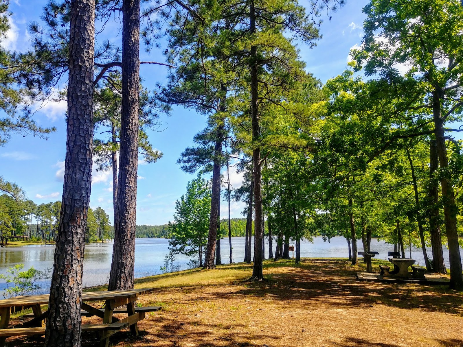 Another Mile Another Destination Blog: Mistletoe State Park, Appling ...
