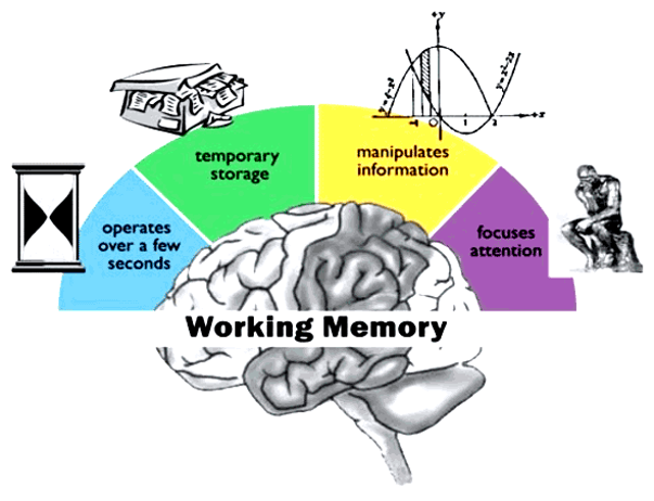 Best Practice Autism: Social Skills Intervention Improves Executive ...