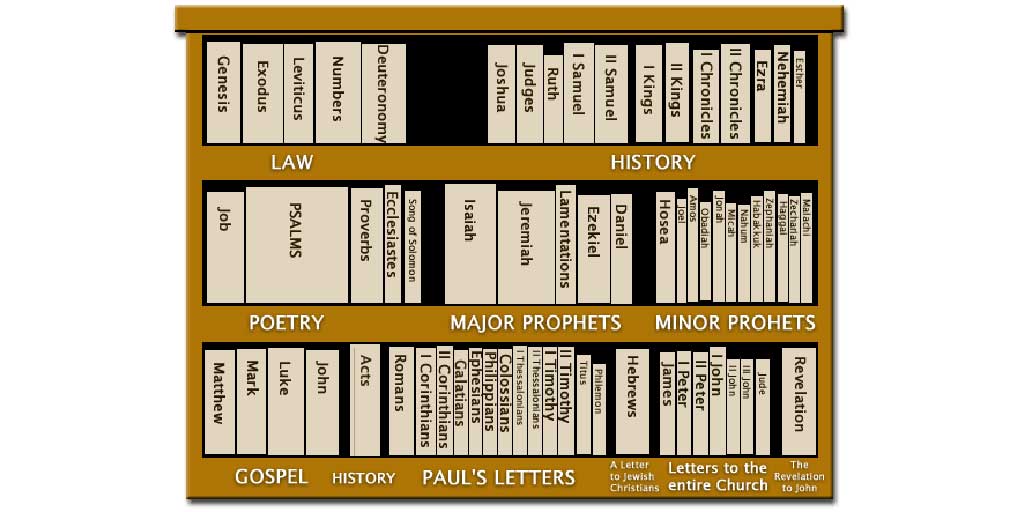 Books Of The Bible Library Worksheet