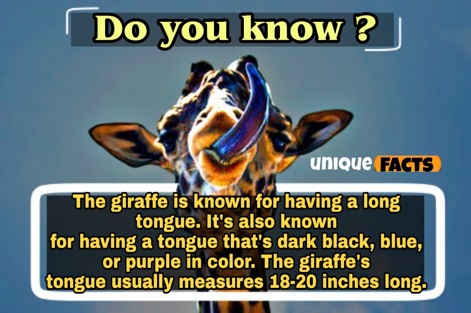 25+ interesting facts images || That's truly blow up your mind ...