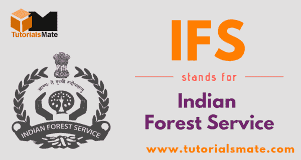 Full Form of IFS: What does IFS stand for? - TutorialsMate