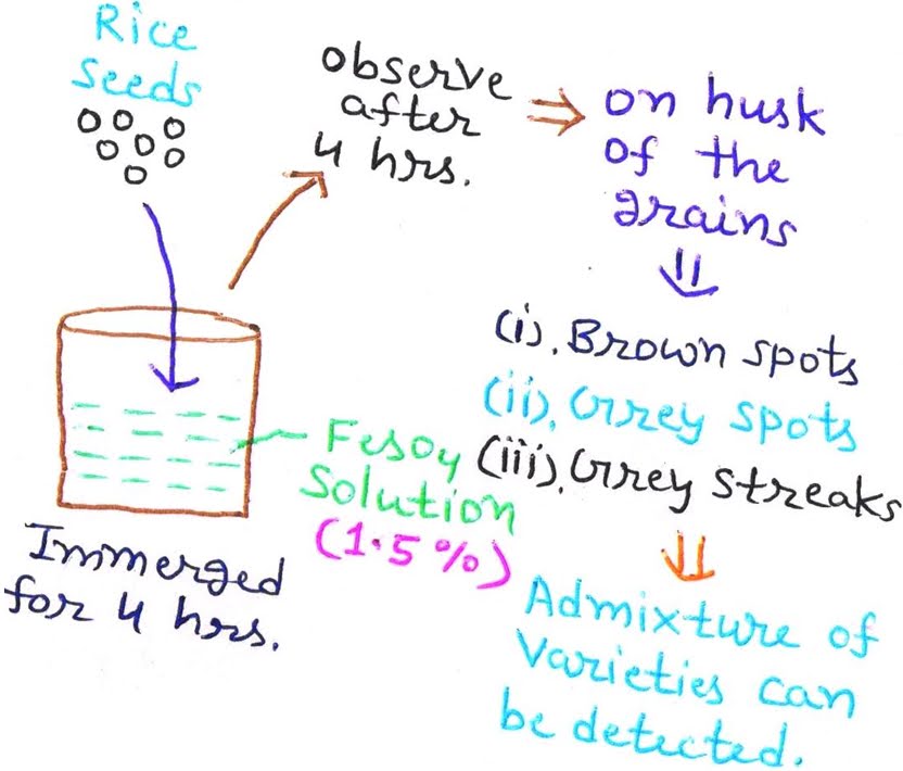 Varietal Identification through Grow Out Test and Electrophoresis ...