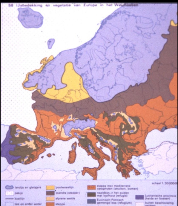 Stonehenge and the Ice Age: Late Pleistocene environments