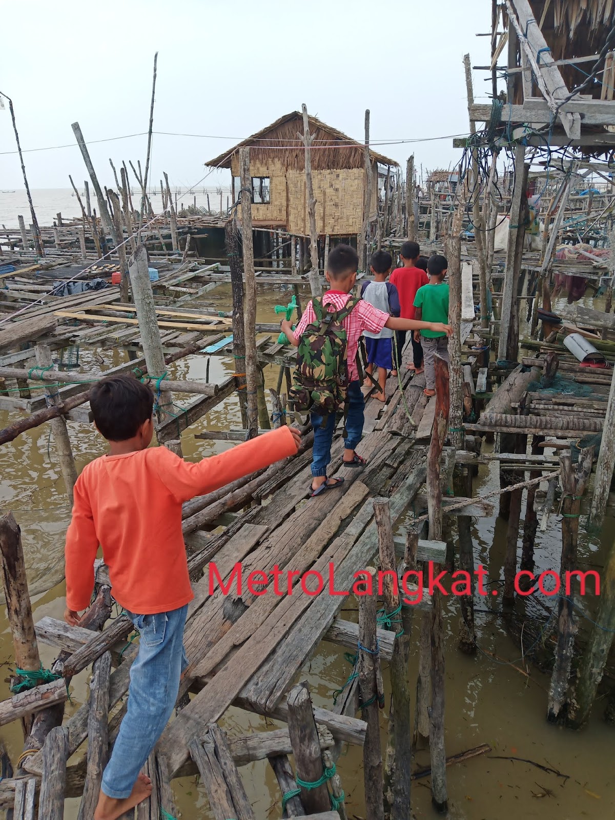 Trend Terpopuler Jaring Halus, Jendela Aluminium