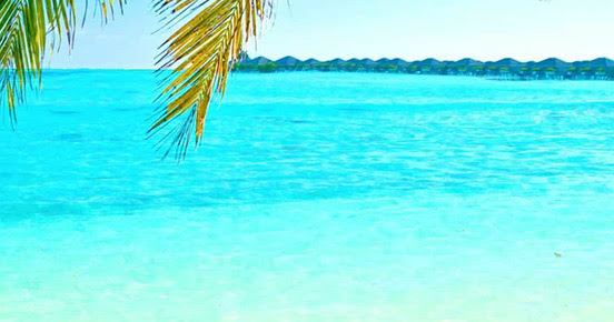 Beach 1741713738 Wallpaper Engine