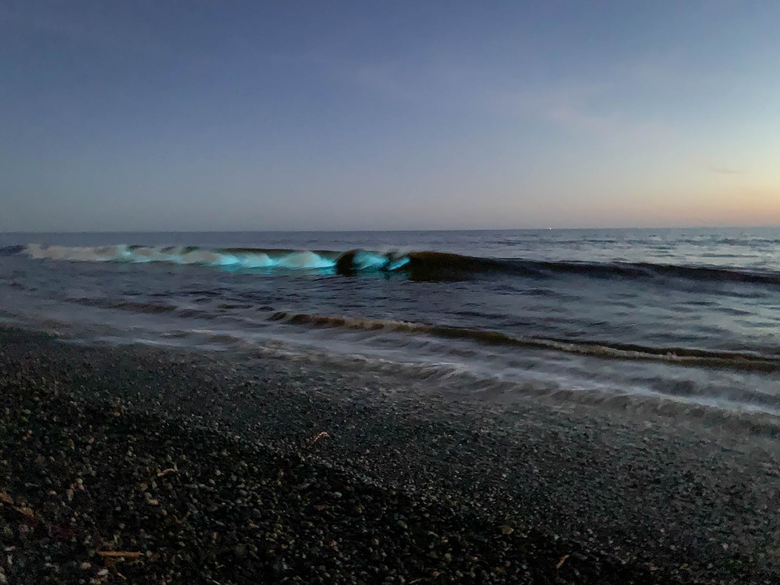 Things To Do In Los Angeles: Red Tide, Bioluminescent Rage