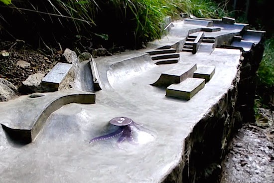 Fingerboarding Buddies Build A Huge Concrete Fingerboard Park - Art'einsky