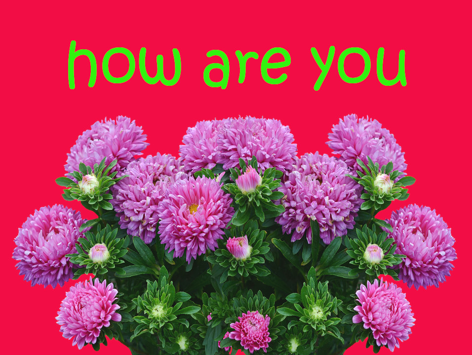 Top 10 How Are You Images, Greetings, Pictures,Photos for Whatsapp ...