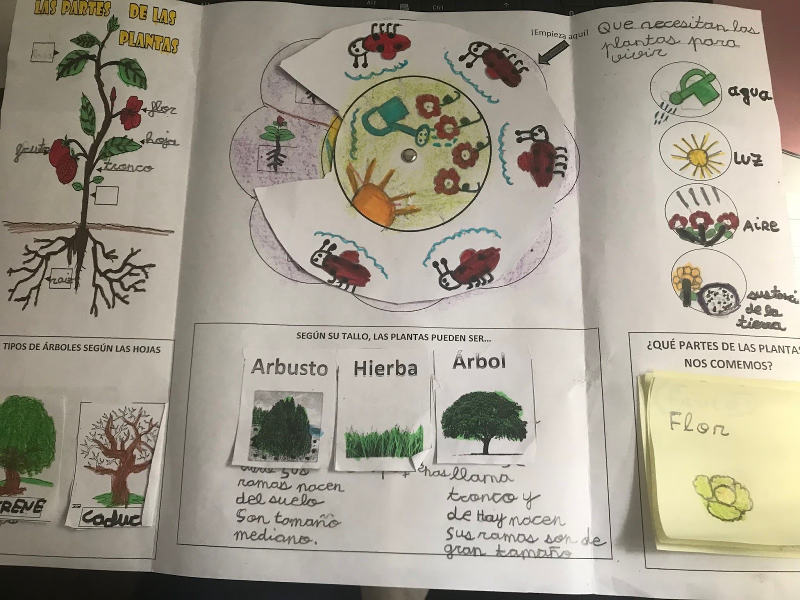 Una parada en mi clase: "LAPBOOK sobre las PLANTAS"