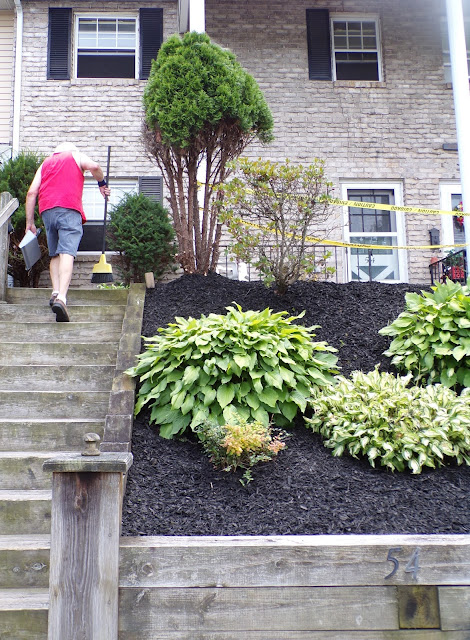 DEBBIE-DABBLE BLOG: A HUGE Landscaping Project.....