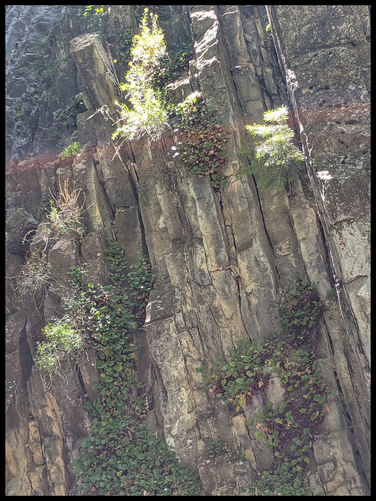 Rock Canyon Cave Provo Utah in 360 Degrees