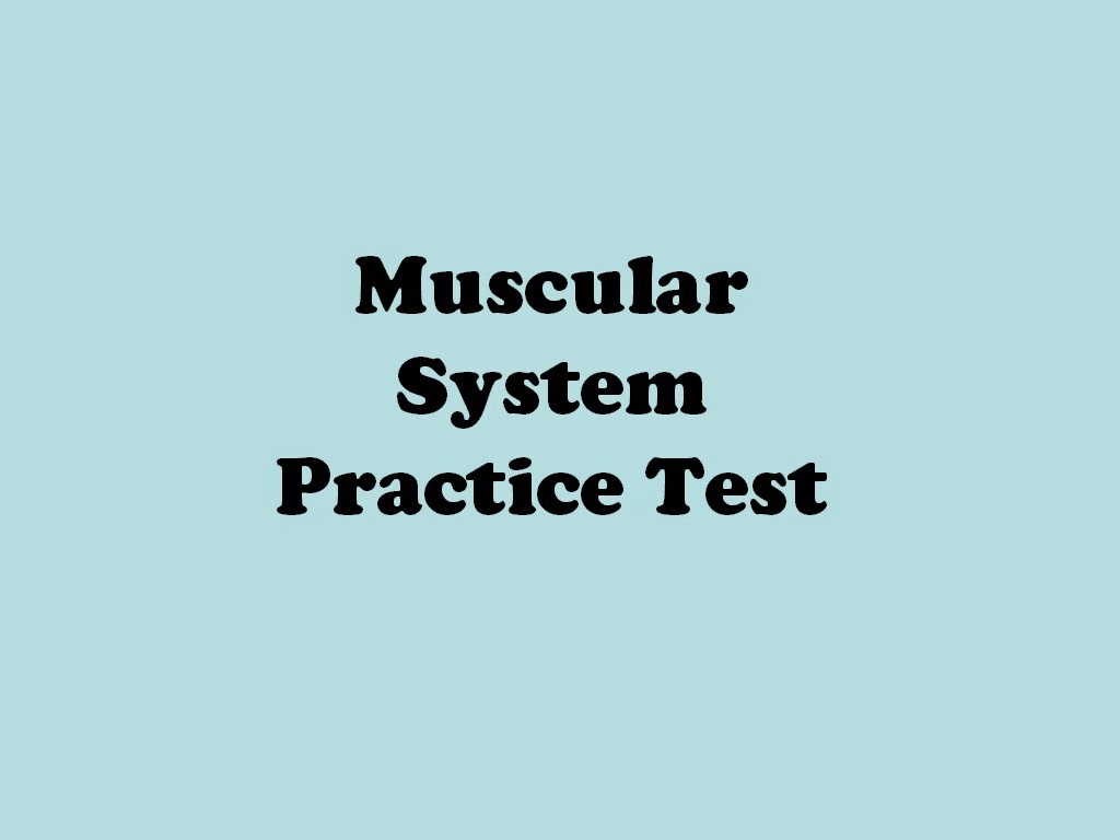 Student Survive 2 Thrive Muscular System Practice Test student-survive-2-thrive-muscular-system-practice-test