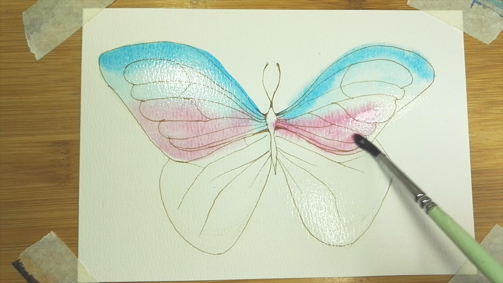 How to draw Watercolor butterfly step by step tutorial easy