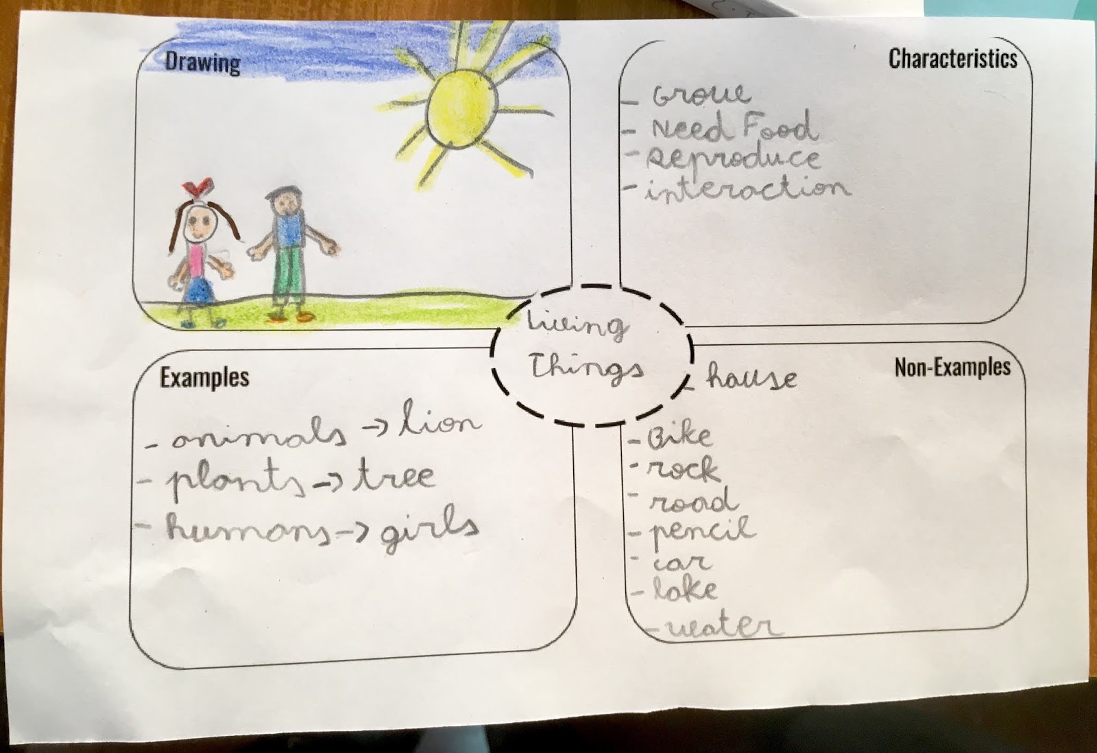 recursos EDUCATIVOS para casa : FRAYER MODEL.