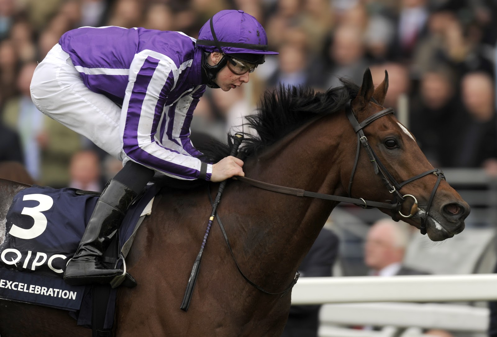 Ascot Racecourse: “Horse of the Series” Vote Launched