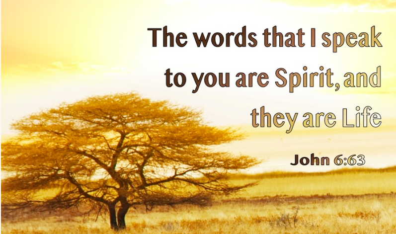 Lynn Lacher : His Word is Life