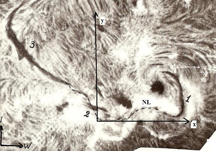 Brane Space: Why Auroral Substorm Dynamics Don't Apply To Solar Flares ...