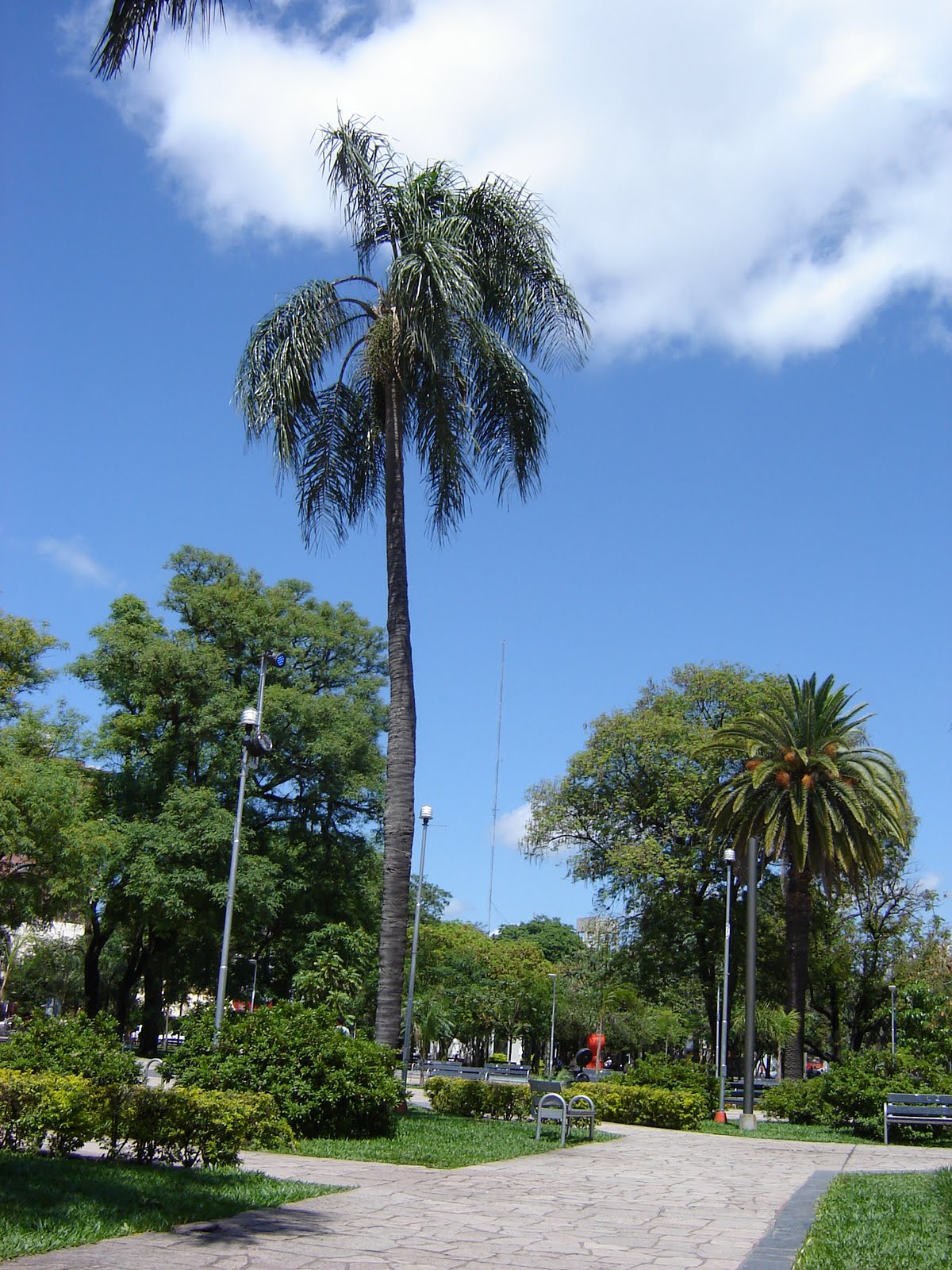 v e r d e c h a c o: noviembre 2011