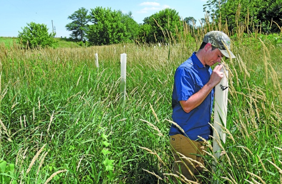 PA Environment Digest Blog: Bay Journal: Cruel World Awaits Newly ...
