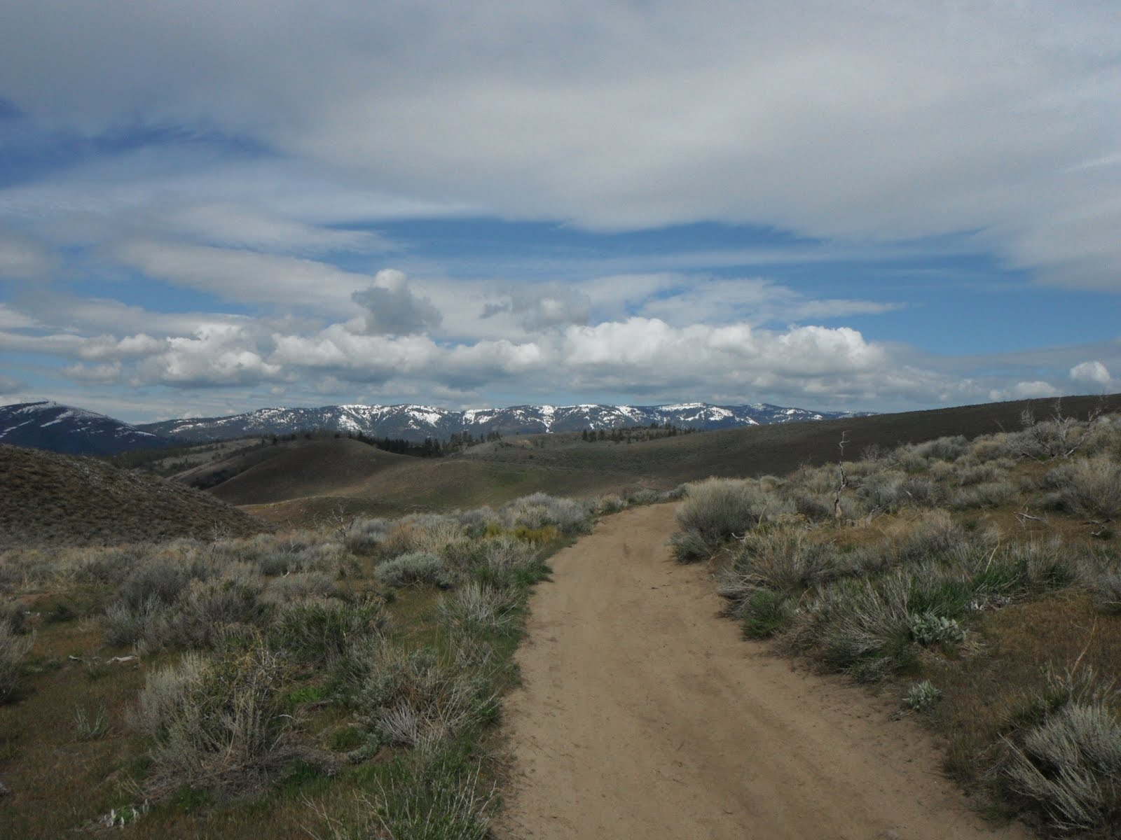 Daily Adventures: Silver State 50K - 2011