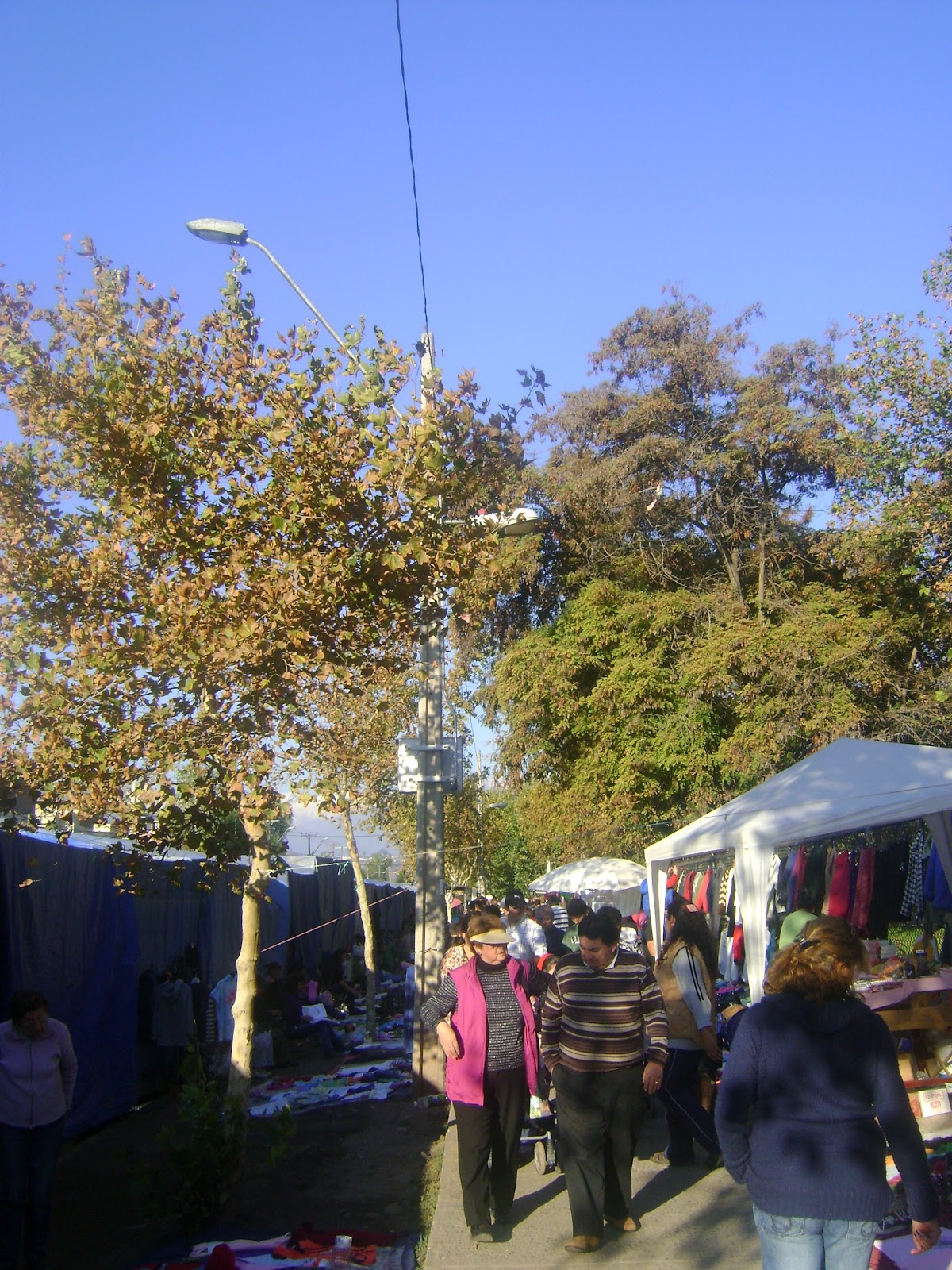 maidapleasure: Persa ON FAIA: Zapadores