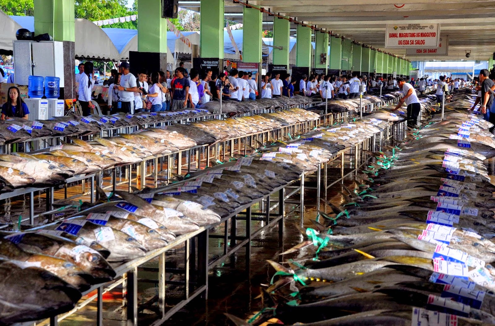 I Love General Santos City, Philippines!: Gensan plants 35,000 ...