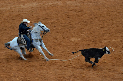 the other paper: Arcadia All-Florida Championship Rodeo Is A Bucking ...