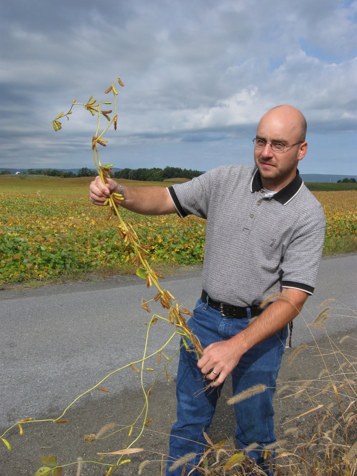 Soybean Pre Harvest Estimation – test template – Lebanon Crop Management