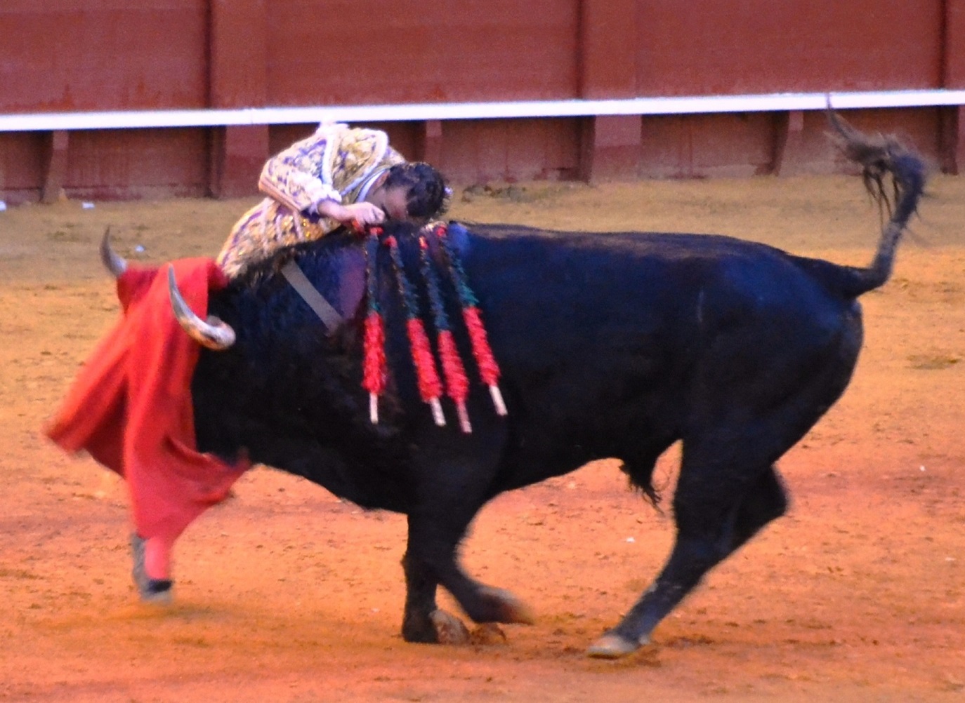 La Fiesta Más Culta: Volcarse sobre el morrillo