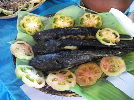 Ilocos: Begnas Festival