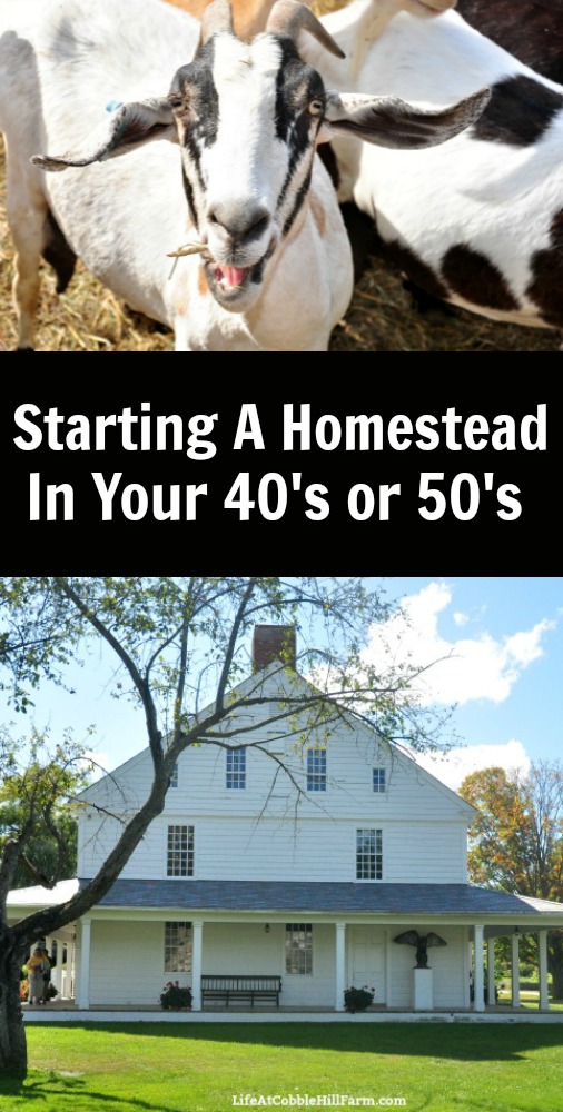 A Beginner's Guide To Homesteading In Your 40's or 50's | Life At ...