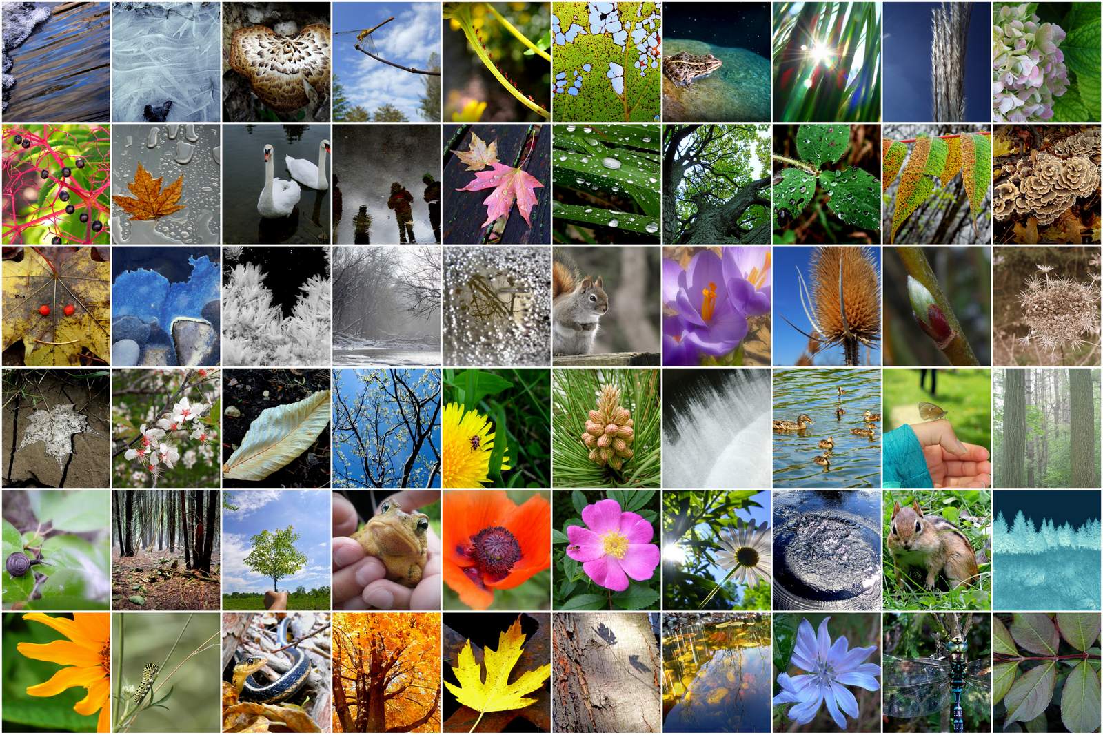 ThirdSpace: Emerging Nature