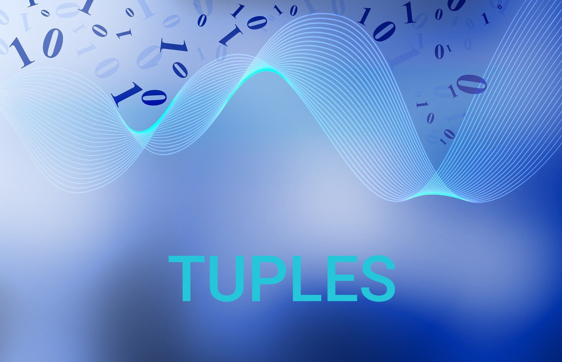 Python Tupes python-tupes