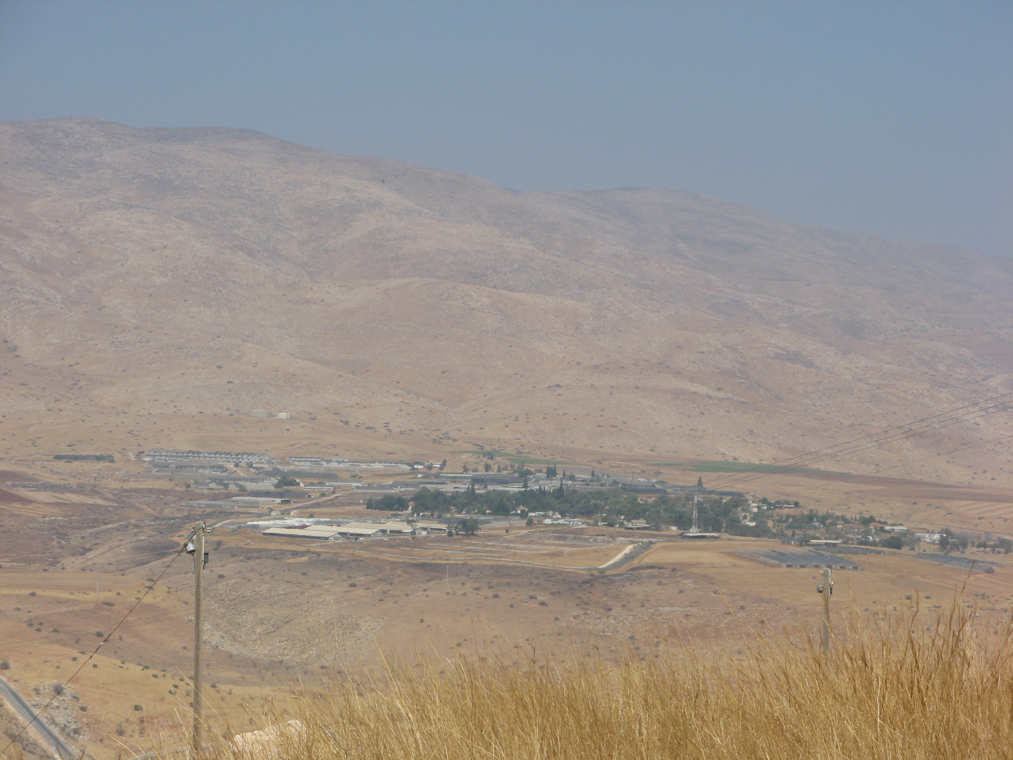 Life Is Like a Library: 2021