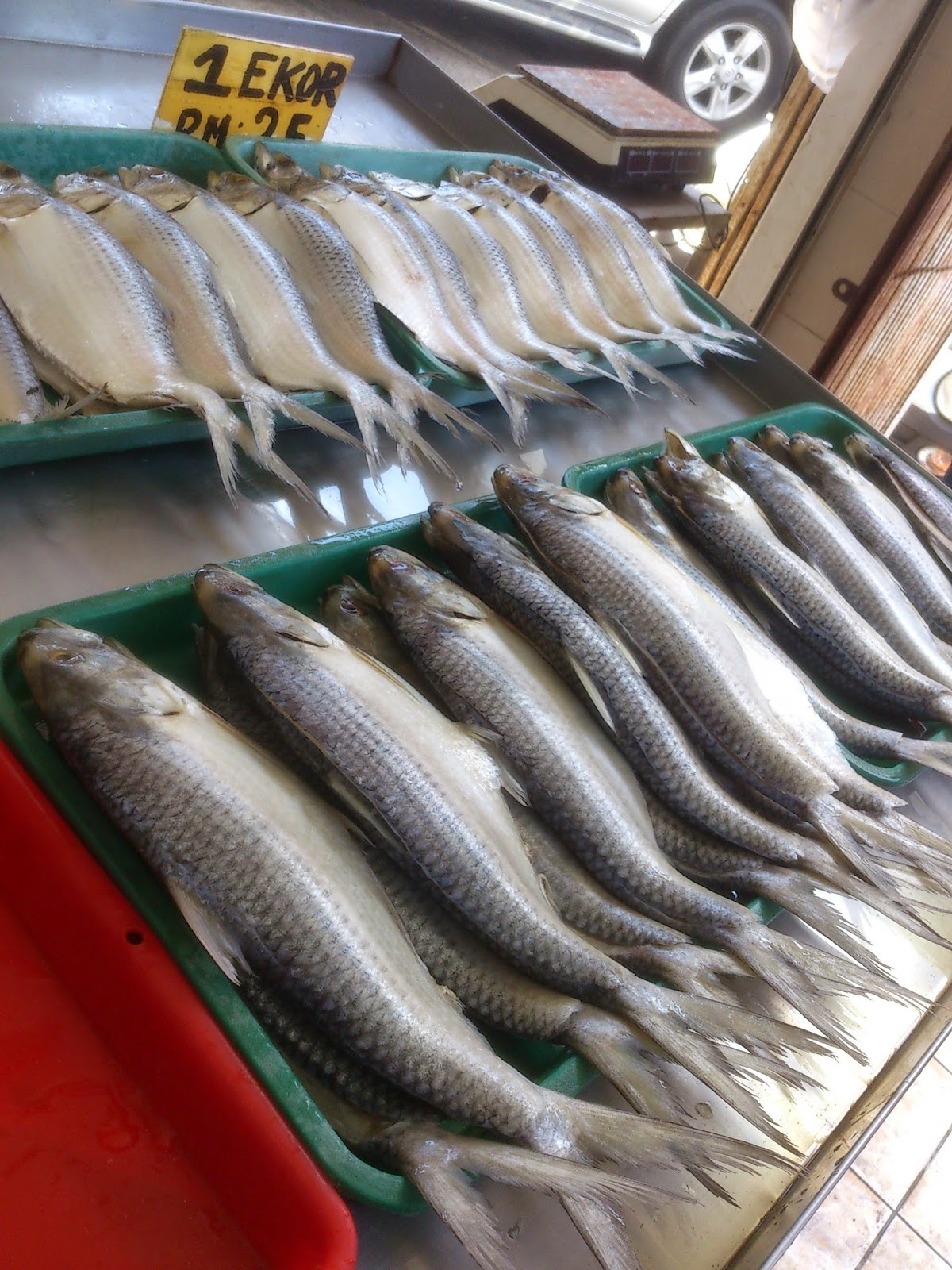 My Life & My Loves ::.: Wawasan Ikan Terubuk Masin Sarawak