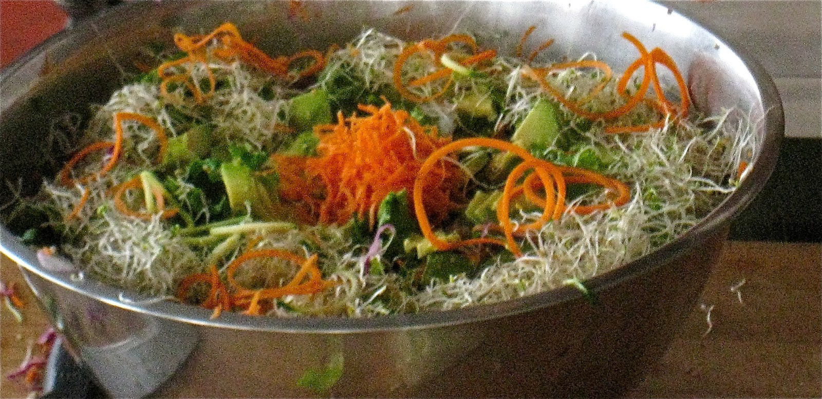 Raw Love Recipes: Lunch, Snack and Dinner from My First Raw Vegan Class