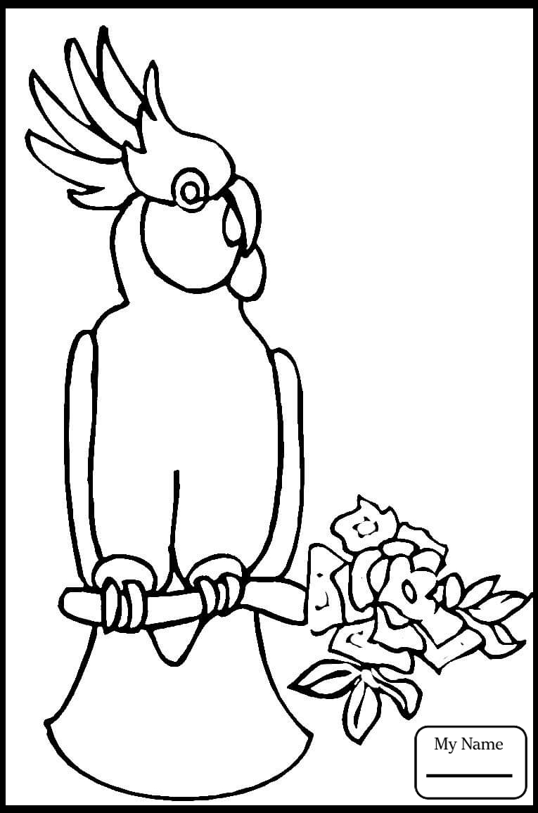 parrots coloring pages - jiahajava