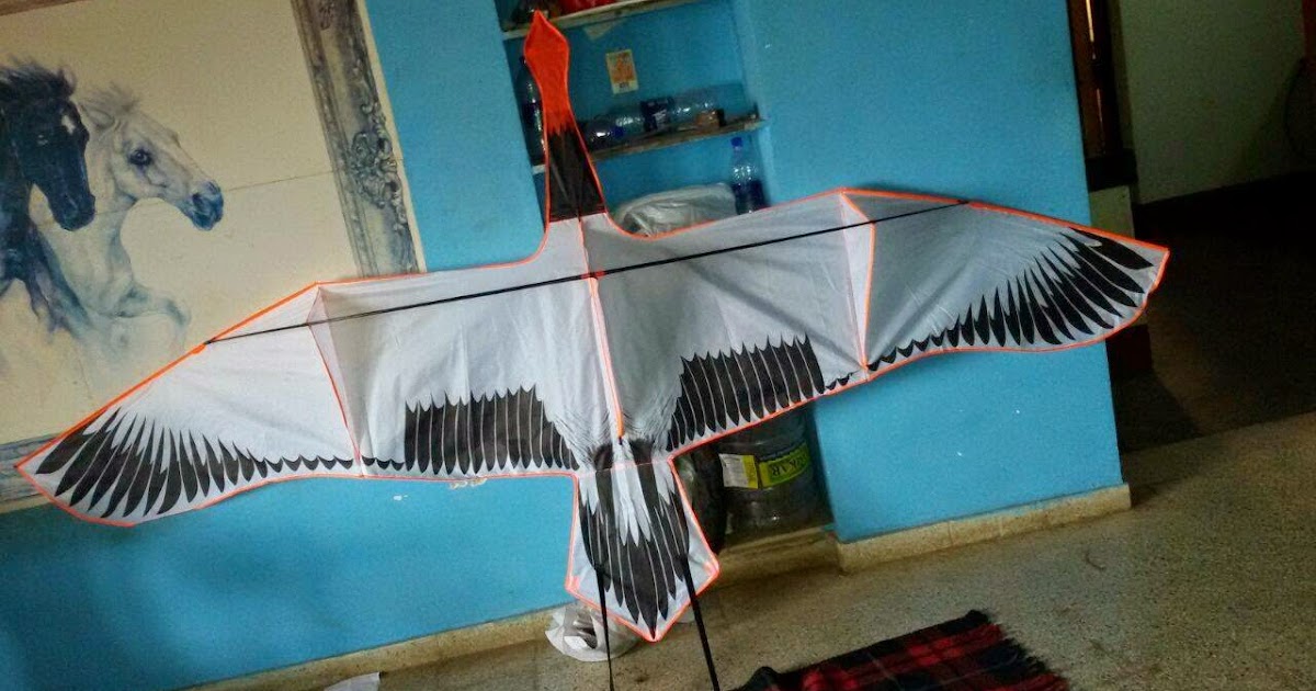 10+ Contoh Layangan Unik, Baru!