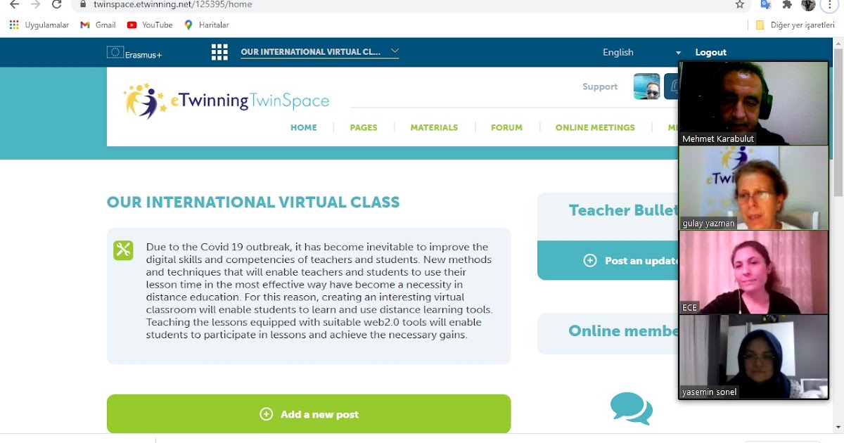 Our International Virtual Class: Teachers' Webinars