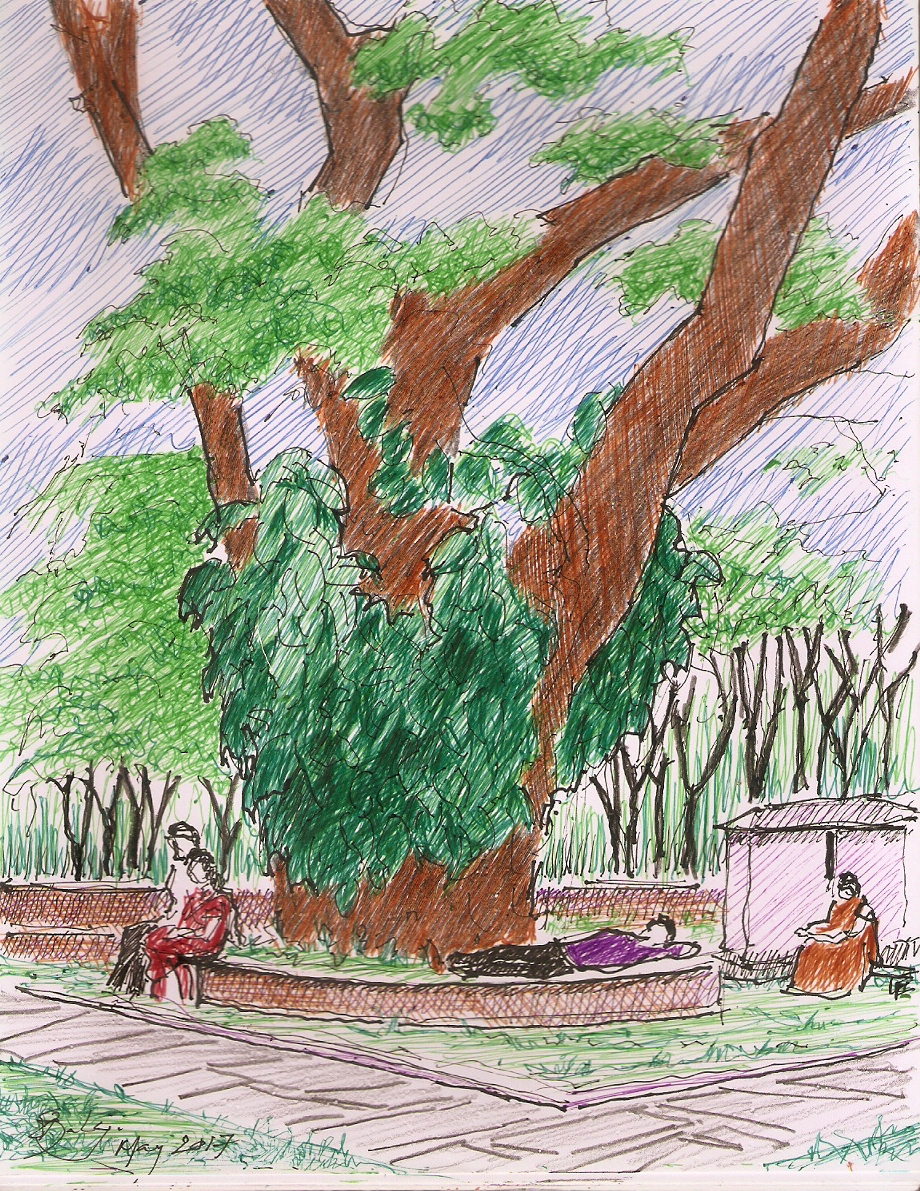 Colour in my life: Semmozhi Poonga - May 2017