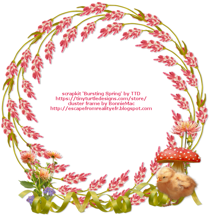 Escape From Reality Blog: FTU 'Bursting Spring' Cluster Frames TTD