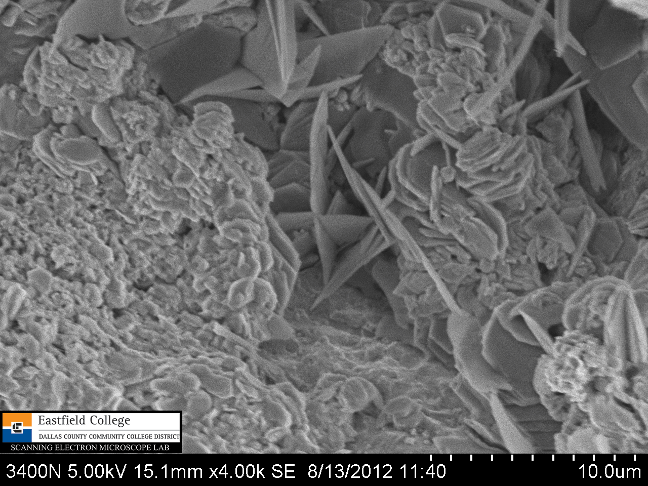 Scanning Electron Microscope Blog: Geology on a small scale