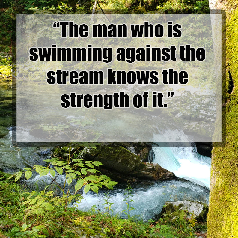 Stream quotes quotes about streams for Instagram
