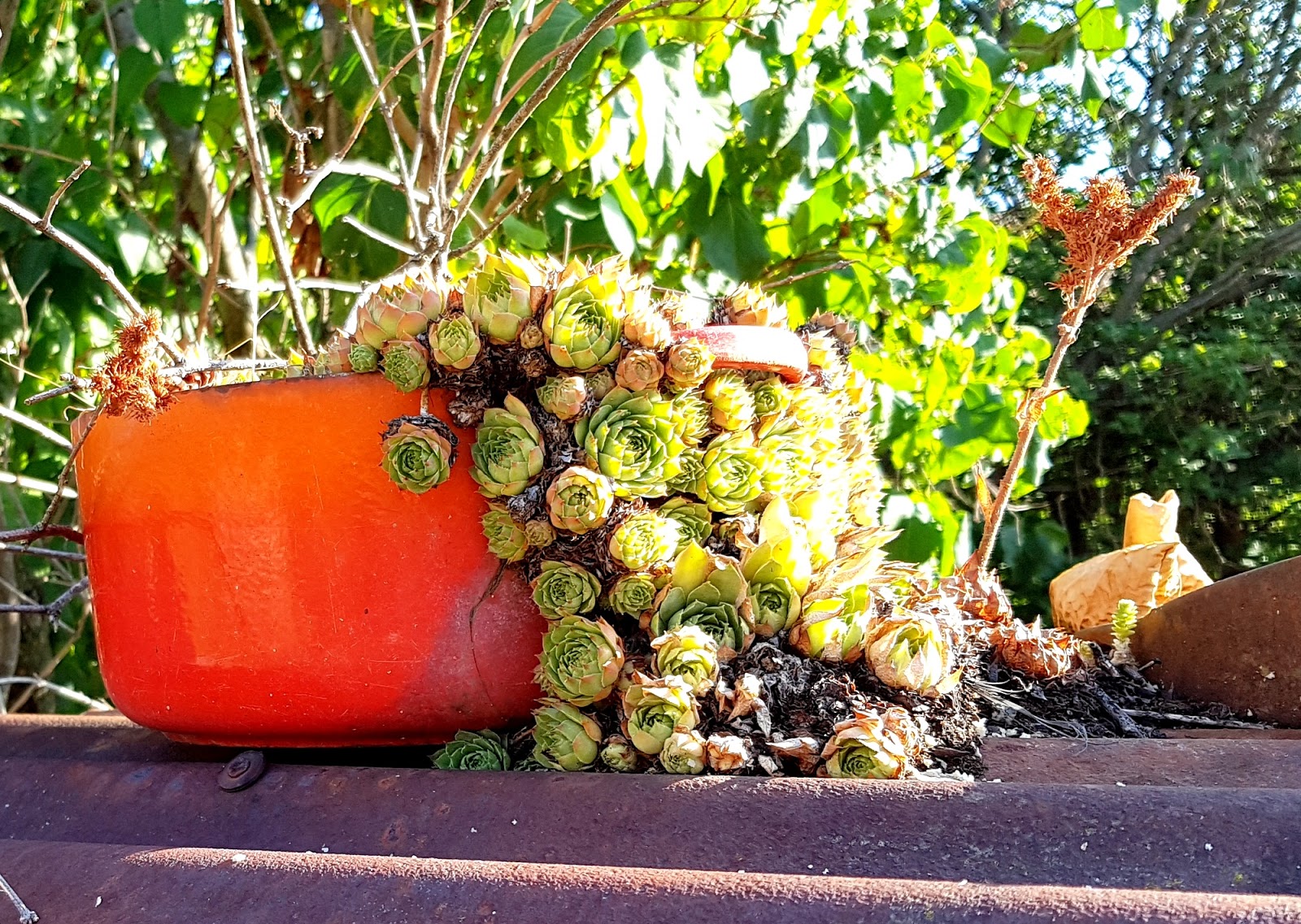 Wandeling in de vallei van de Auzène